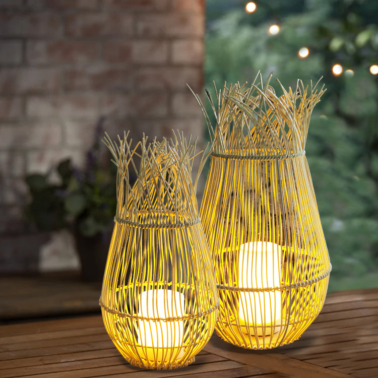 RE Wild Food offers nutritious and progressive experiences – RE Wildfood