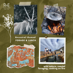 Cape Point Coastal Forage and Lunch - Private – RE Wildfood