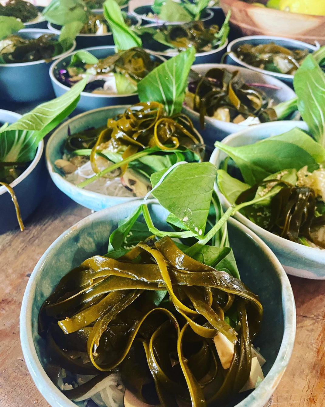 Coastal Foraging Workshop – RE Wildfood